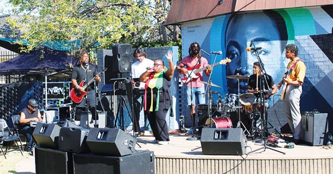 50th Harambee festival celebrates Black-owned businesses in Dallas ...